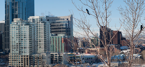 CREB® | CREB® Unveils 2024 Forecast Calgary and Region Yearly Outlook ...